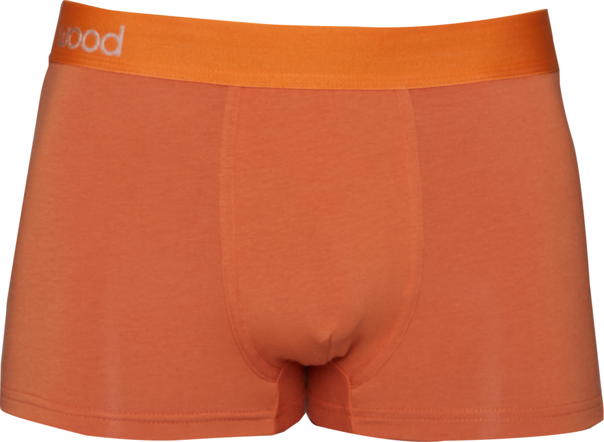 Wood Underwear Trunk | Shop Executive
